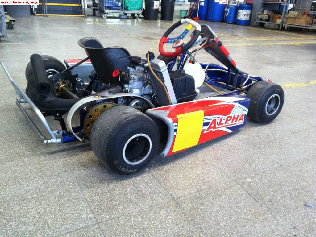 kart Alpha con Rotax Max