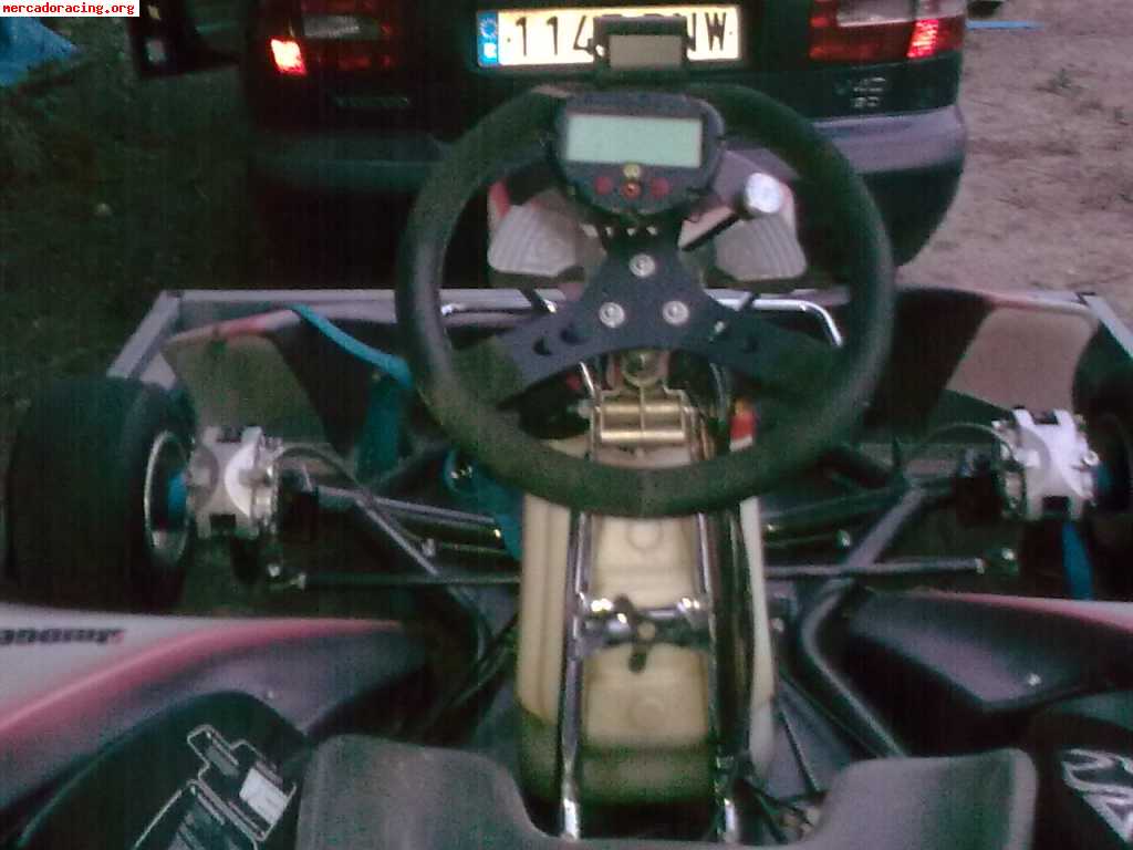 vendo kart rm1 motor rotax dd2 ,muy economico 2000€