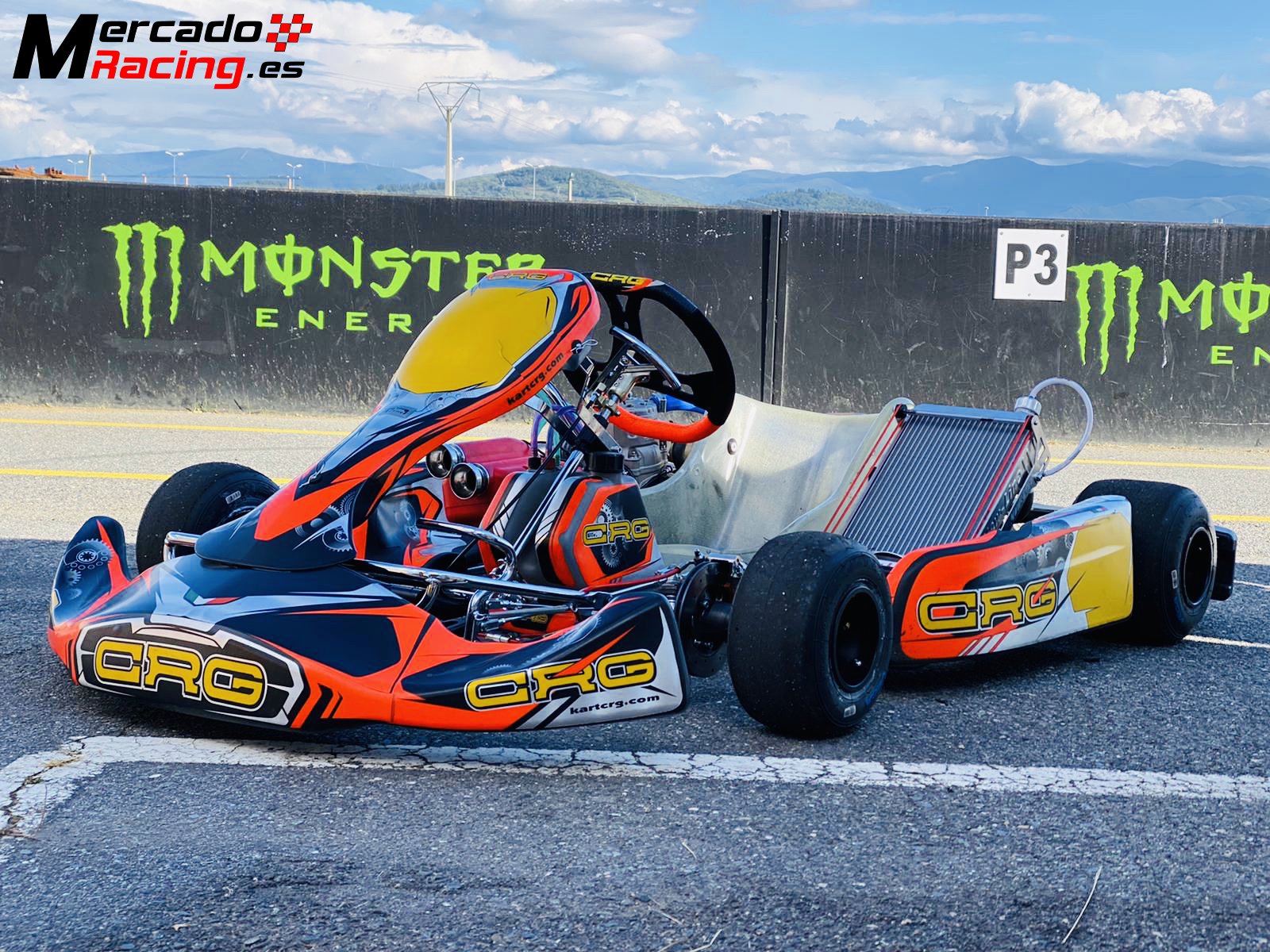 Kart kz CRG finales 2019,kz10c