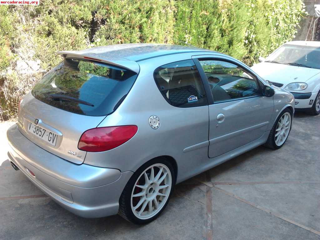 PEUGEOT 206 GT Edicion Limitada