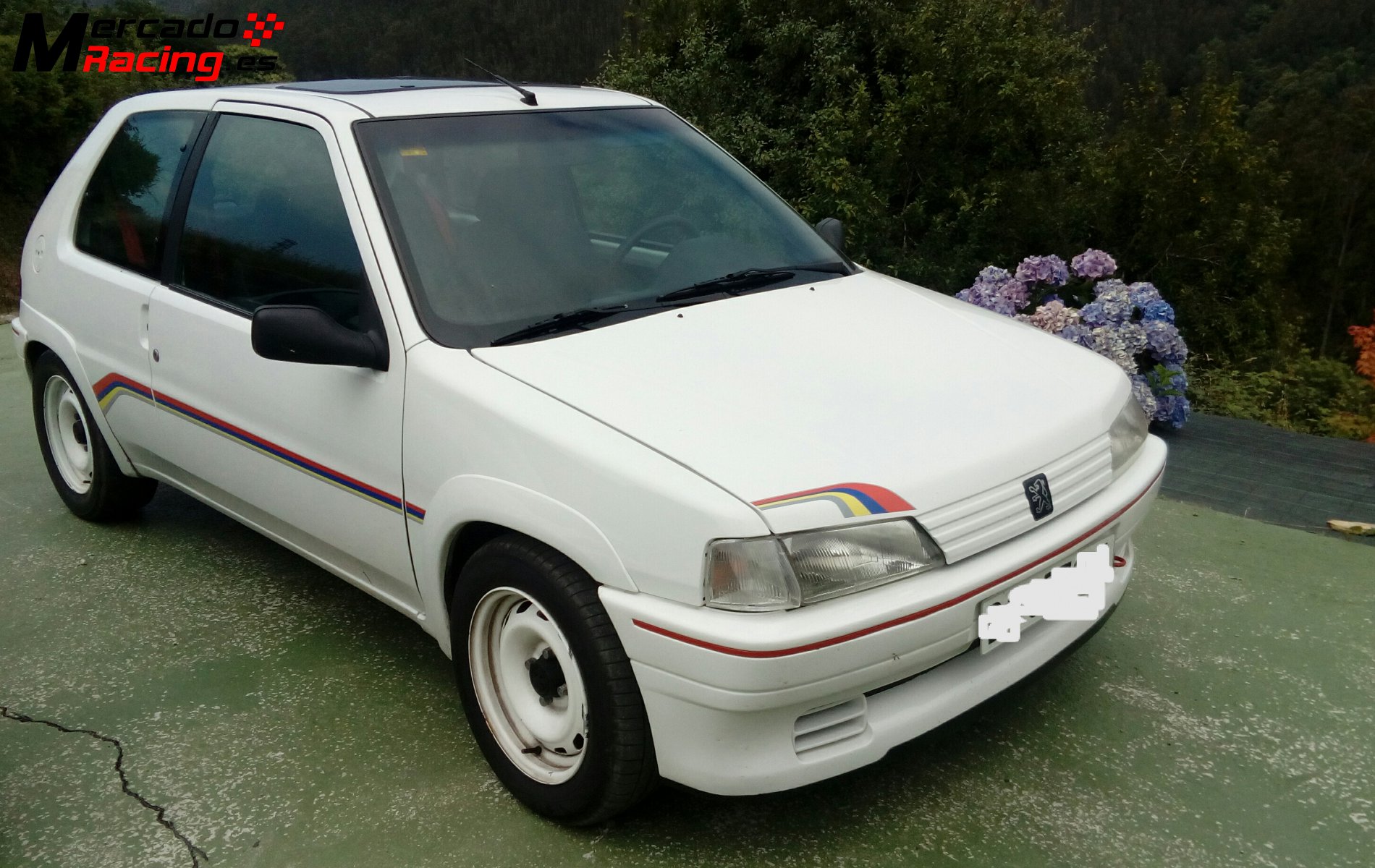 Peugeot 106 rallye f1