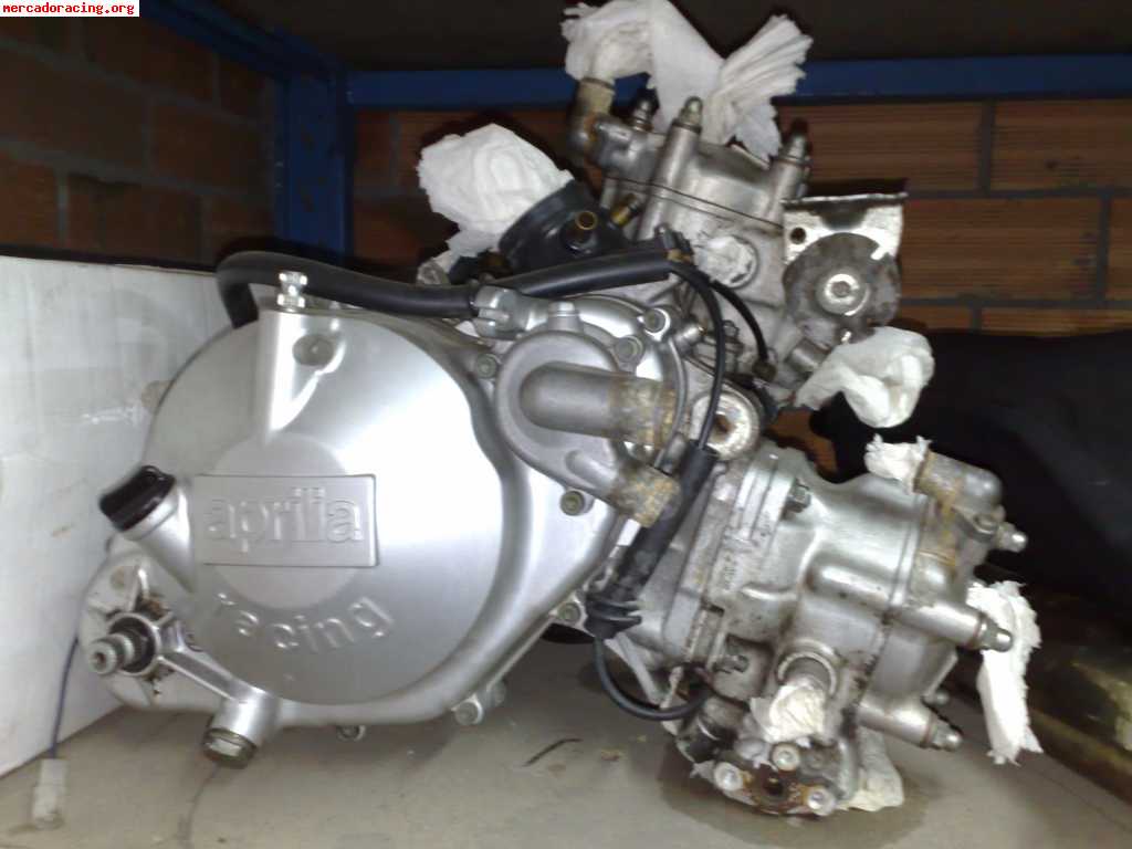 aprilia rs 250 L.REGGIANI