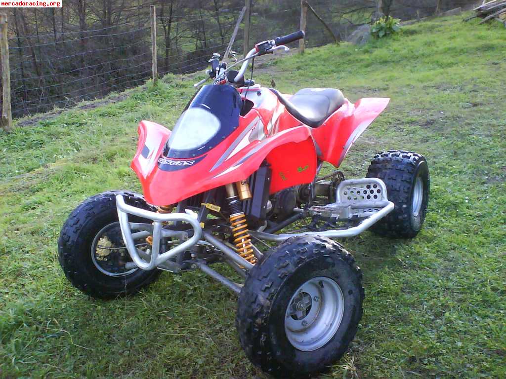 Se vende quad Gas Gas Wild 250 2t